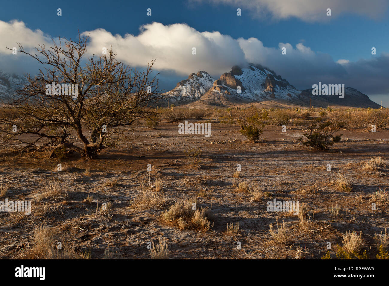 Florida Mountains, Luna County, New Mexico, USA Stock Photo - Alamy