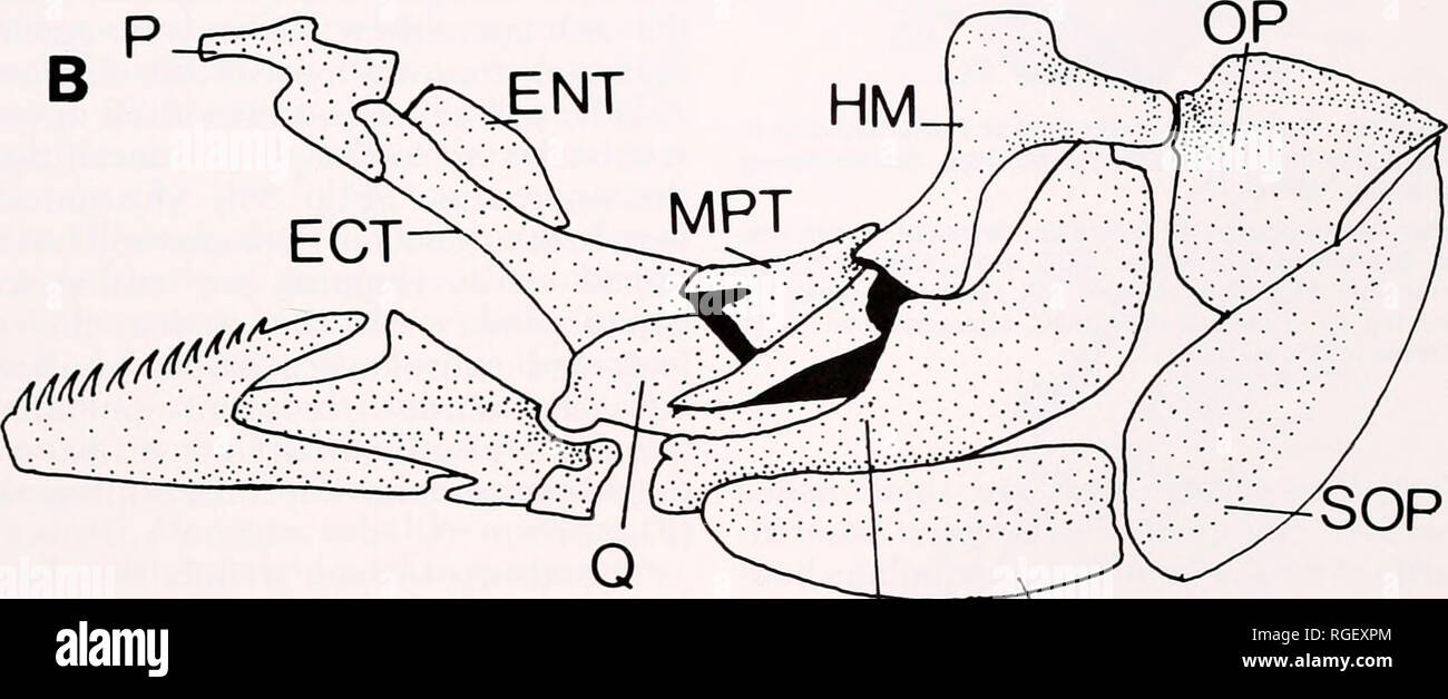 . Bulletin of the Museum of Comparative Zoology at Harvard College ...