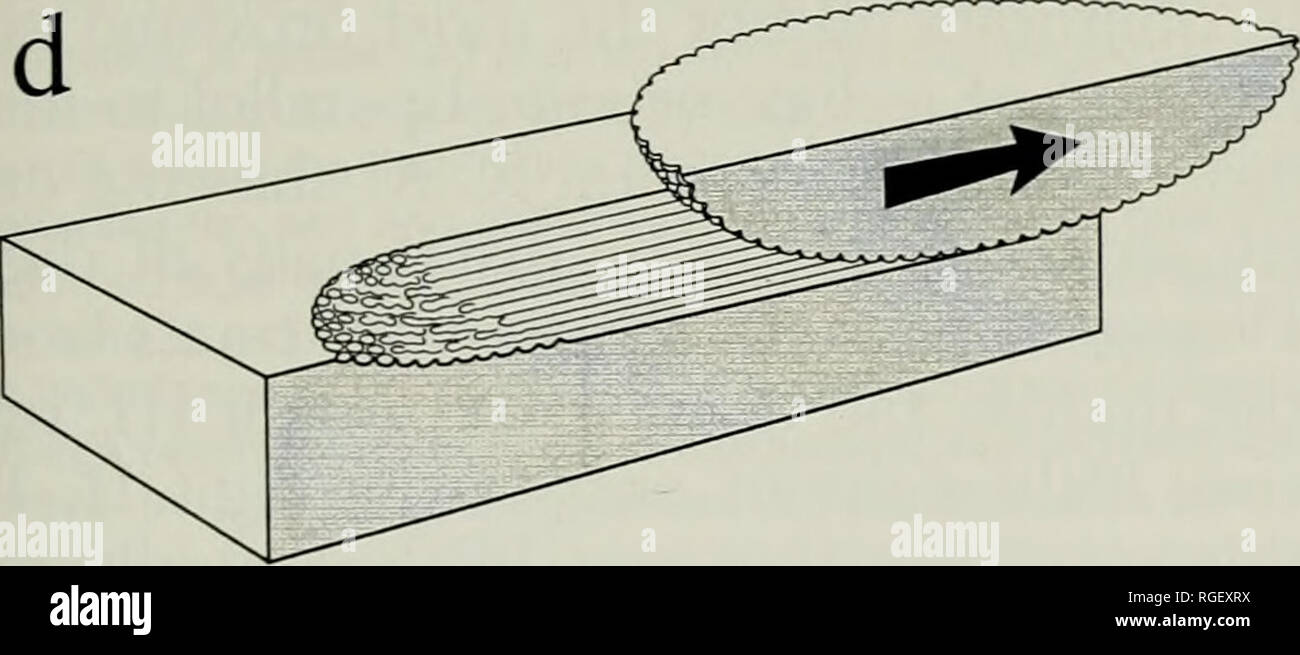 . Bulletin of the Museum of Comparative Zoology at Harvard College ...