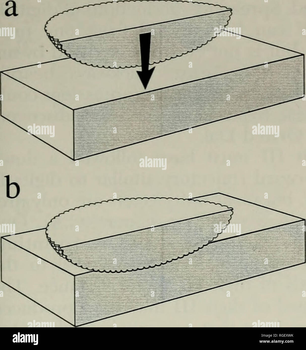 . Bulletin of the Museum of Comparative Zoology at Harvard College ...