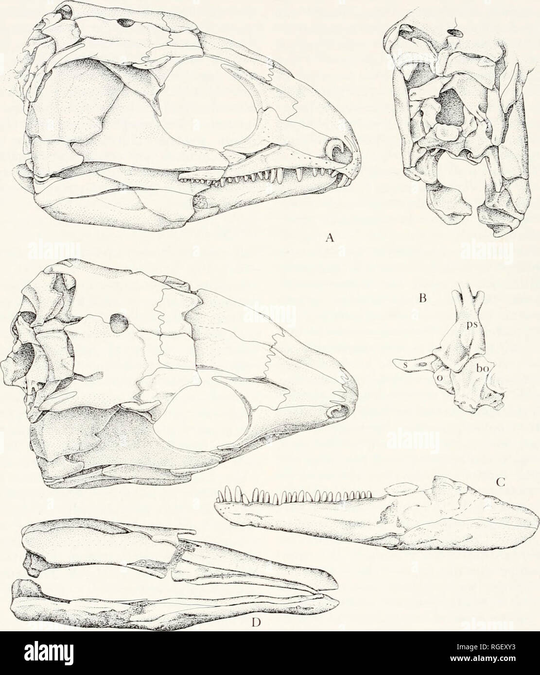 . Bulletin of the Museum of Comparative Zoology at Harvard College ...