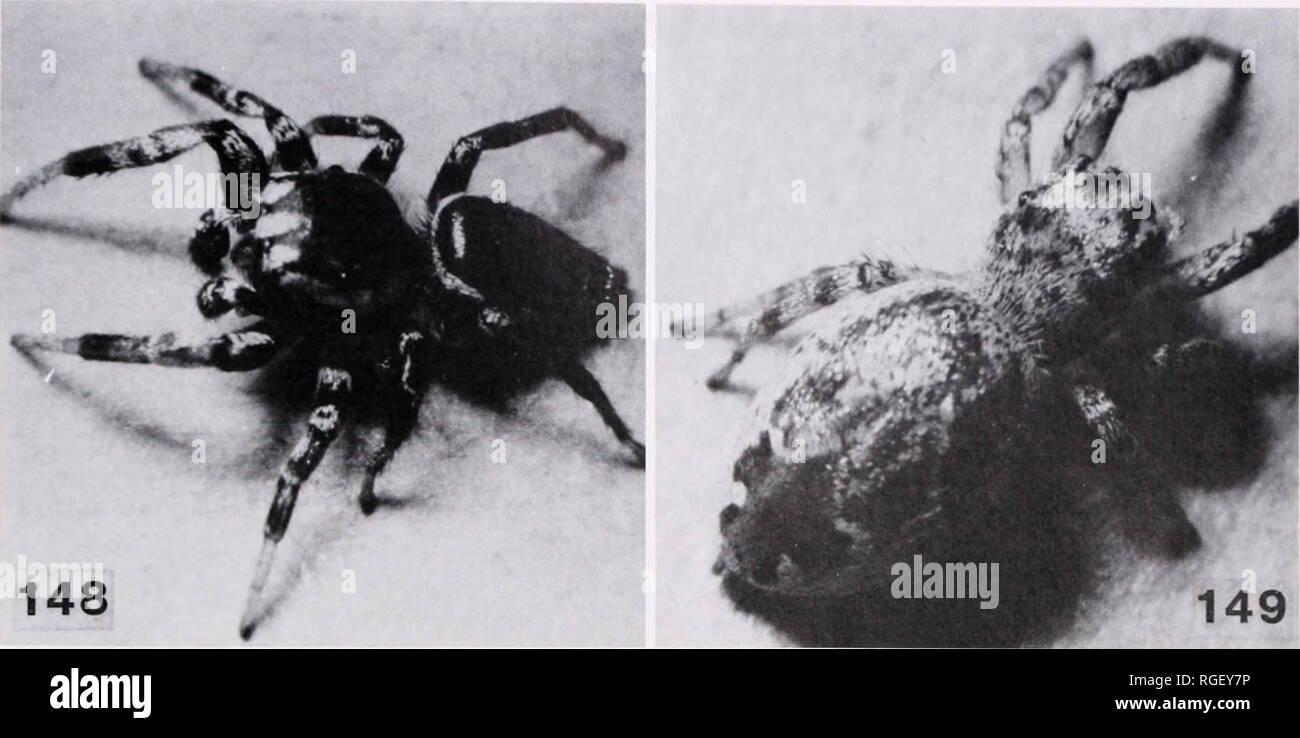 . Bulletin of the Museum of Comparative Zoology at Harvard College ...