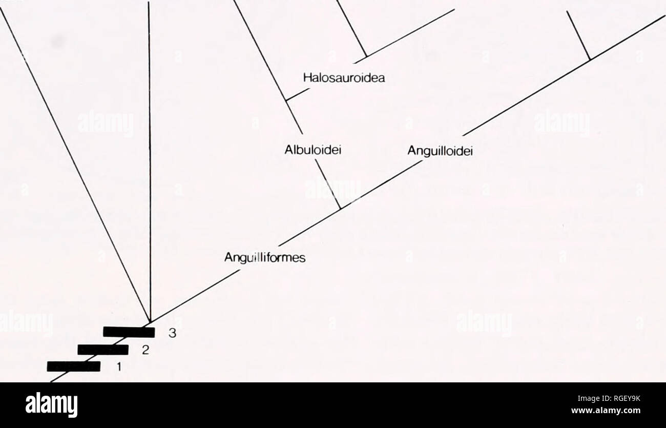 . Bulletin of the Museum of Comparative Zoology at Harvard College ...