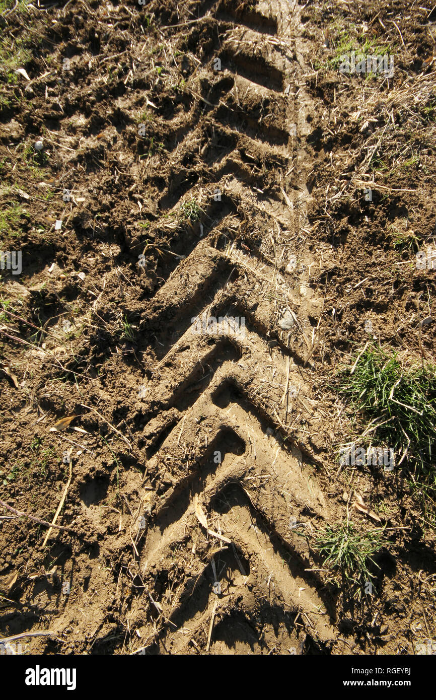 Tyre tracks in mud Stock Photo - Alamy