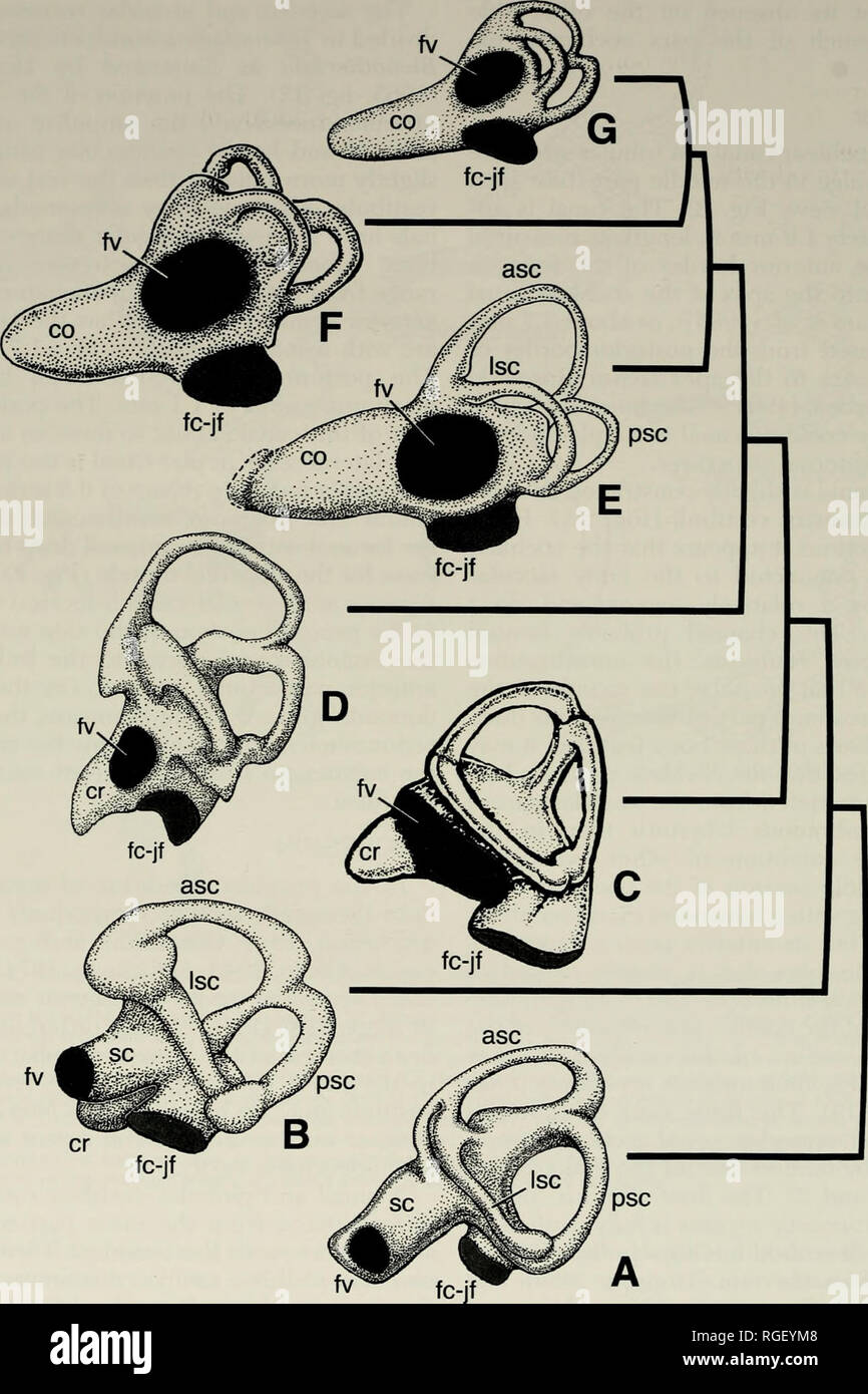 . Bulletin of the Museum of Comparative Zoology at Harvard College ...