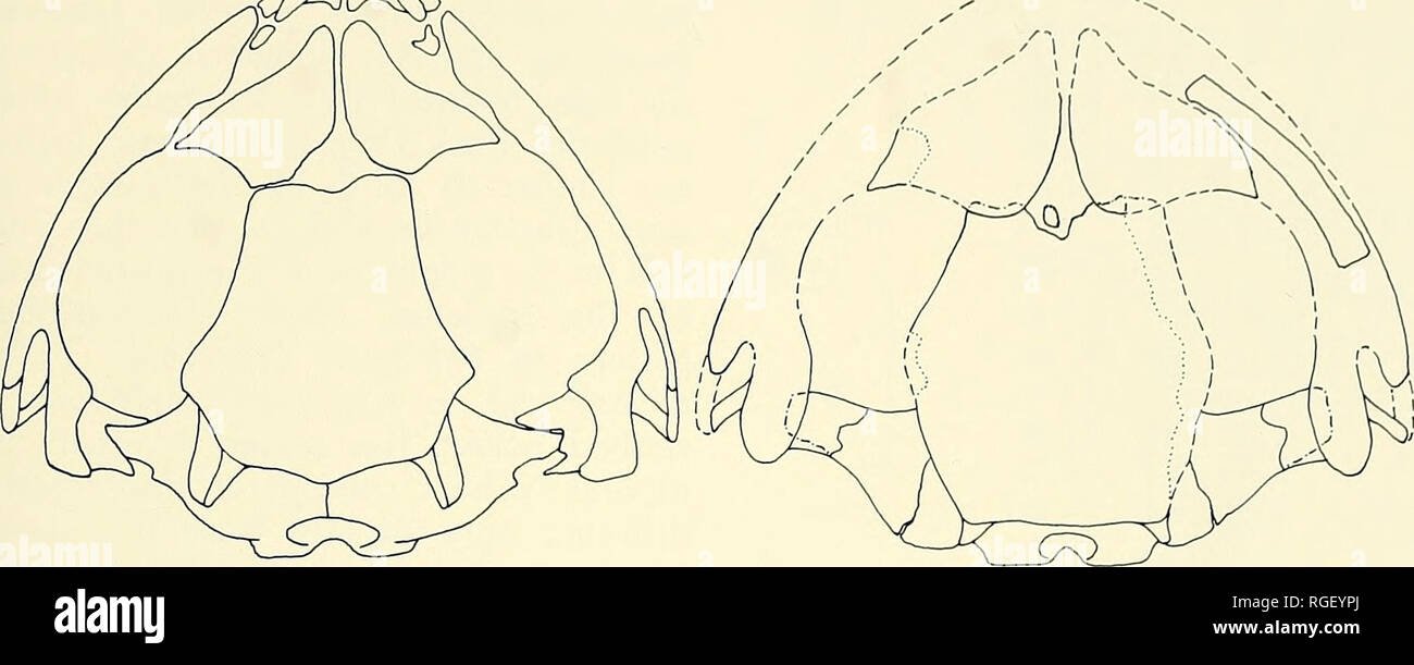 . Bulletin of the Museum of Comparative Zoology at Harvard College ...