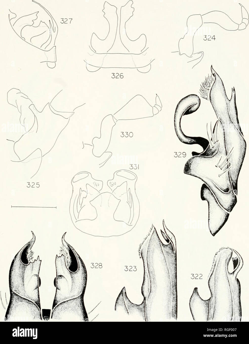 . Bulletin of the Museum of Comparative Zoology at Harvard College ...