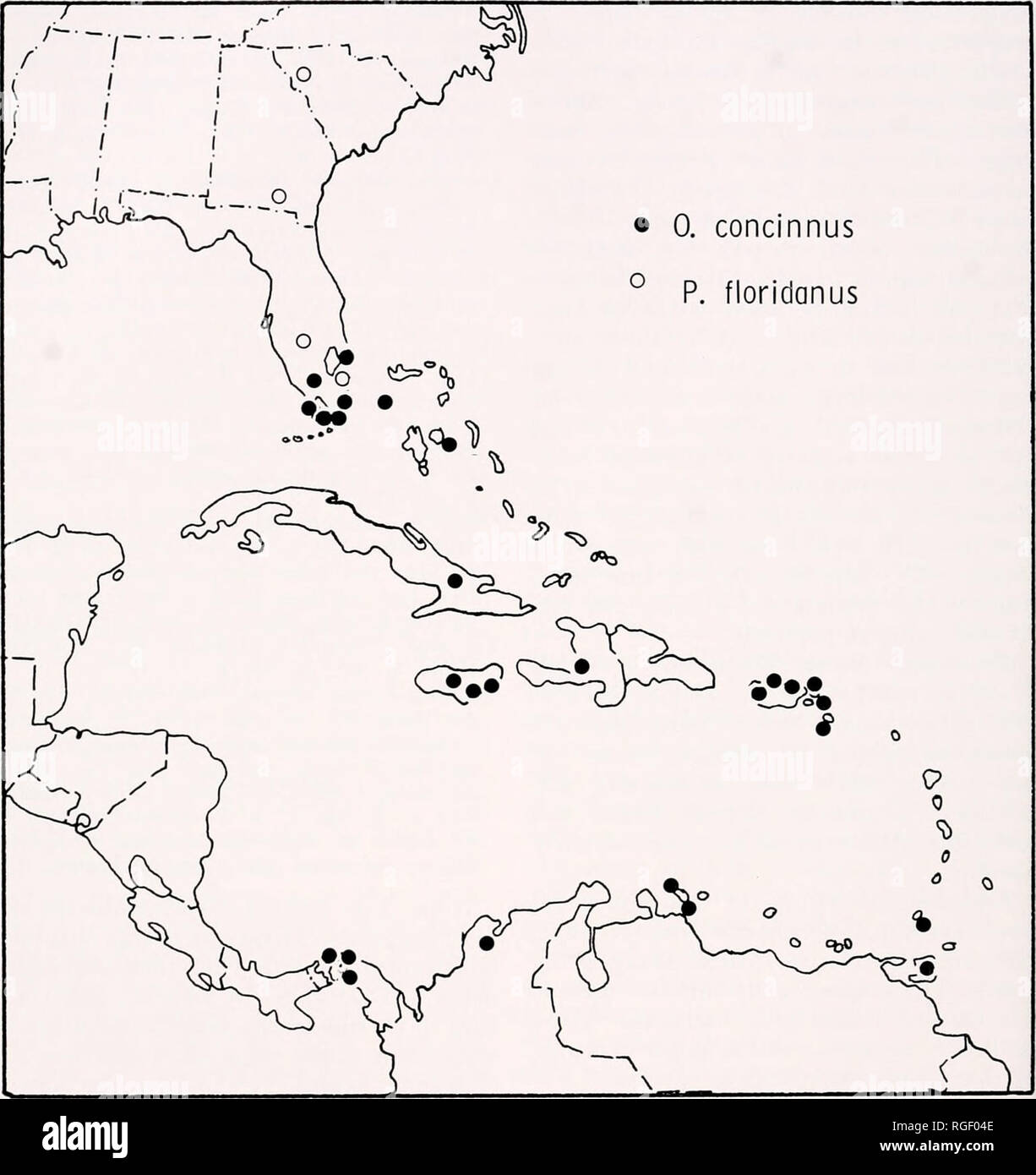 Beatus map hi-res stock photography and images - Alamy