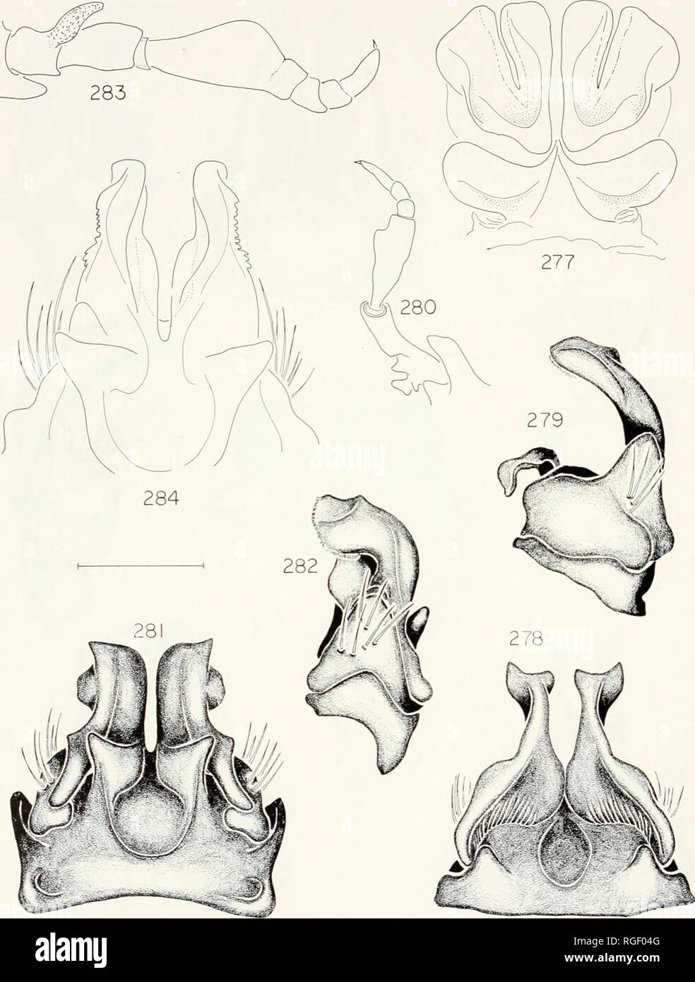. Bulletin of the Museum of Comparative Zoology at Harvard College ...