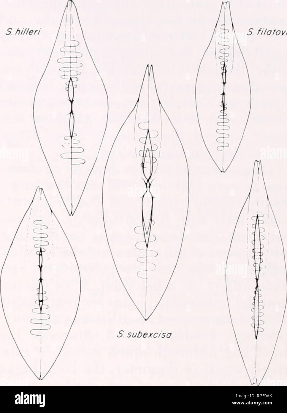 . Bulletin of the Museum of Comparative Zoology at Harvard College ...