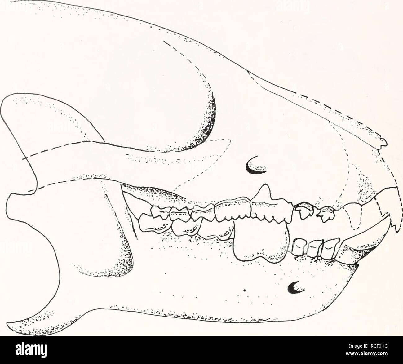 . Bulletin of the Museum of Comparative Zoology at Harvard College ...