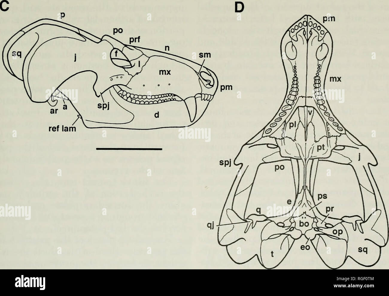 . Bulletin of the Museum of Comparative Zoology at Harvard College ...