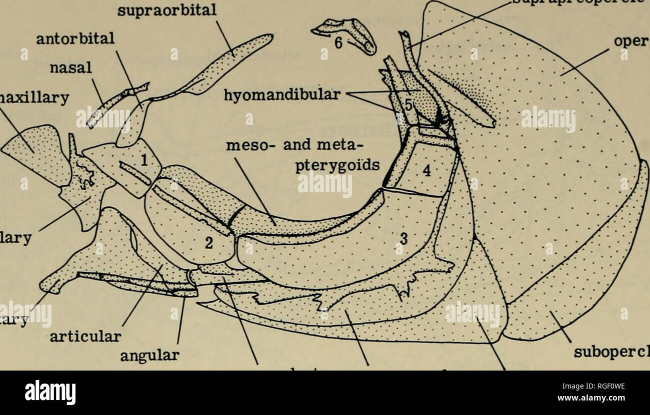Lower angular view hi-res stock photography and images - Alamy