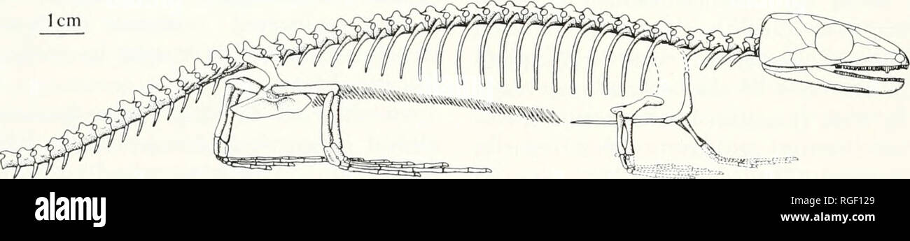 . Bulletin of the Museum of Comparative Zoology at Harvard College ...