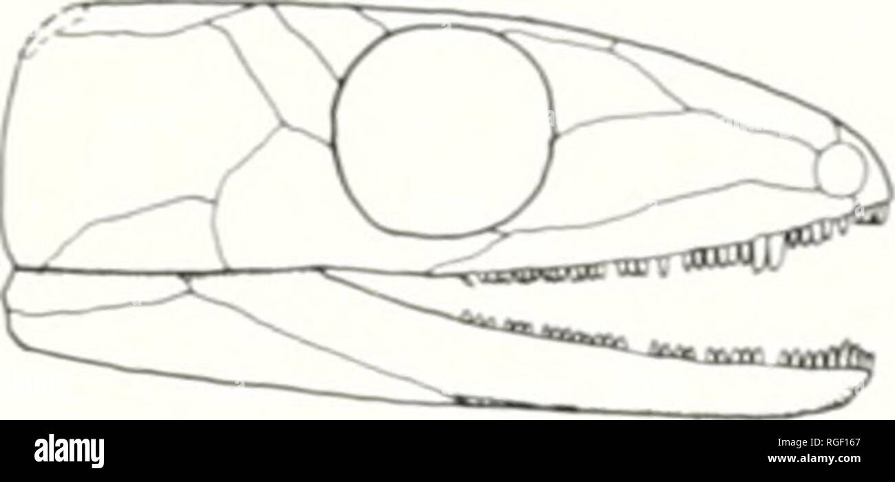 . Bulletin of the Museum of Comparative Zoology at Harvard College ...