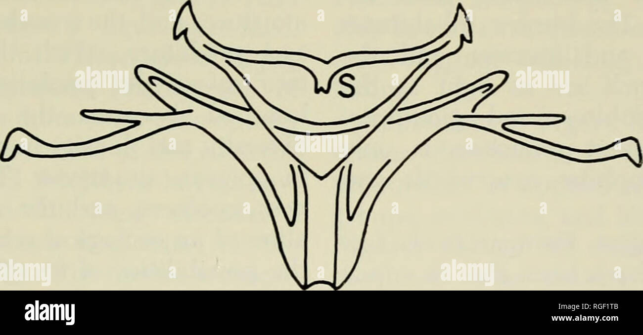 . Bulletin of the Museum of Comparative Zoology at Harvard College ...