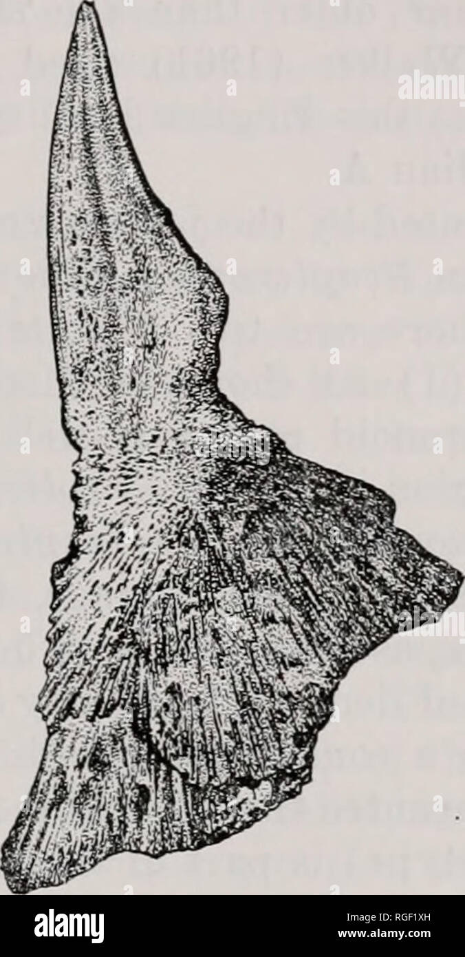 Namurian series hi-res stock photography and images - Alamy