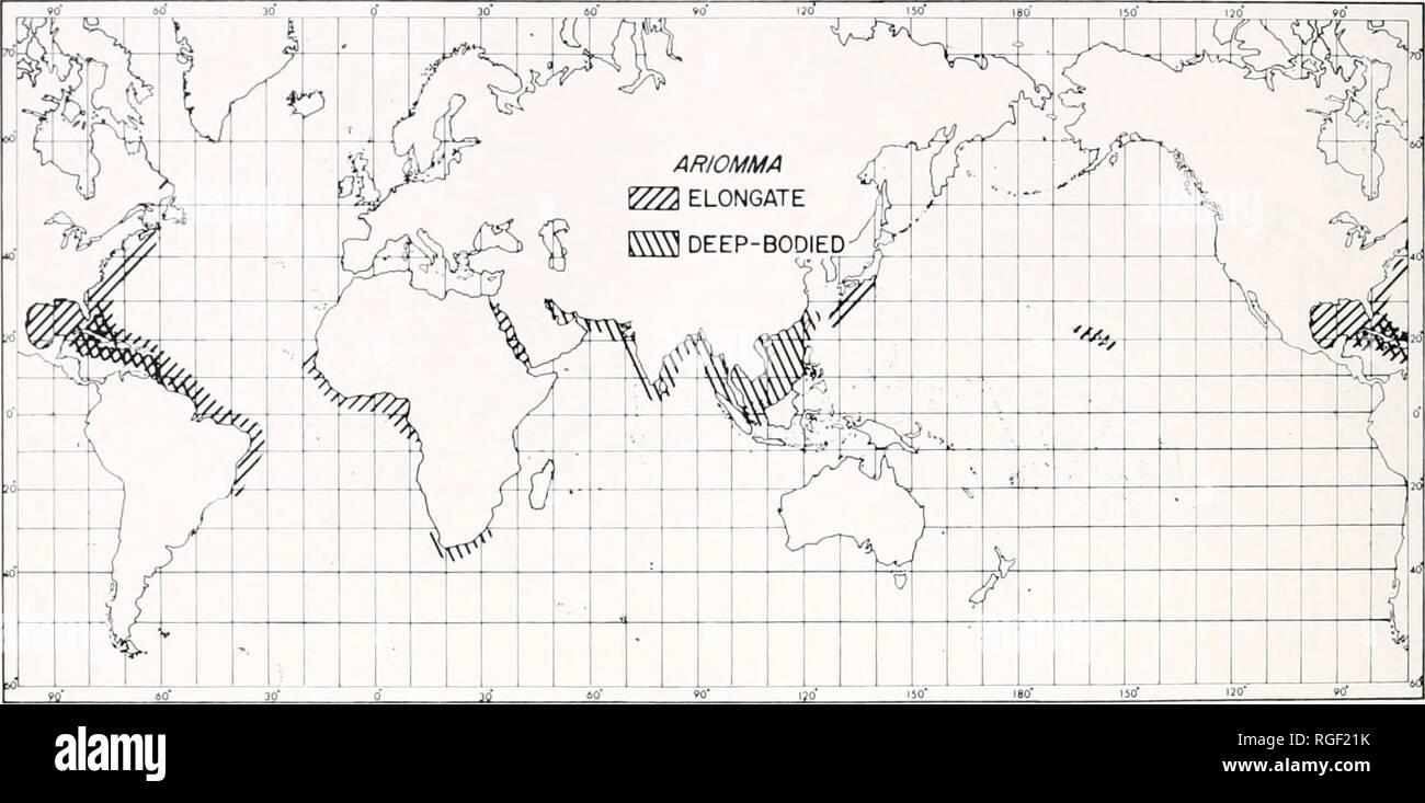 Oceanic dispersal hi-res stock photography and images - Alamy