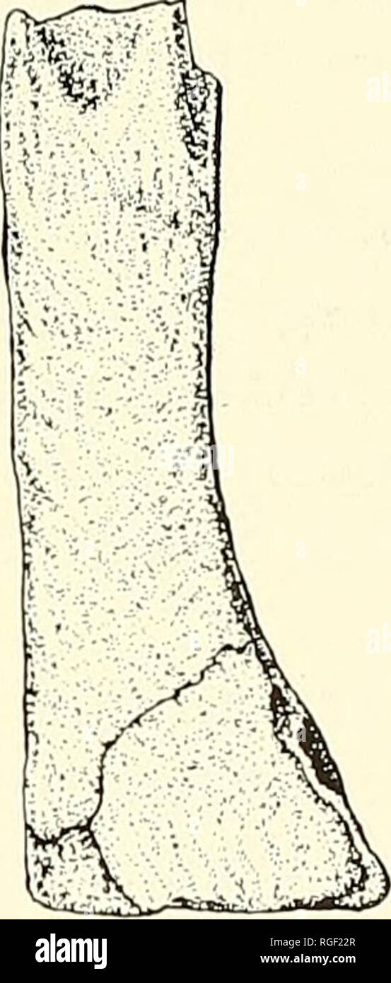 . Bulletin of the Museum of Comparative Zoology at Harvard College ...