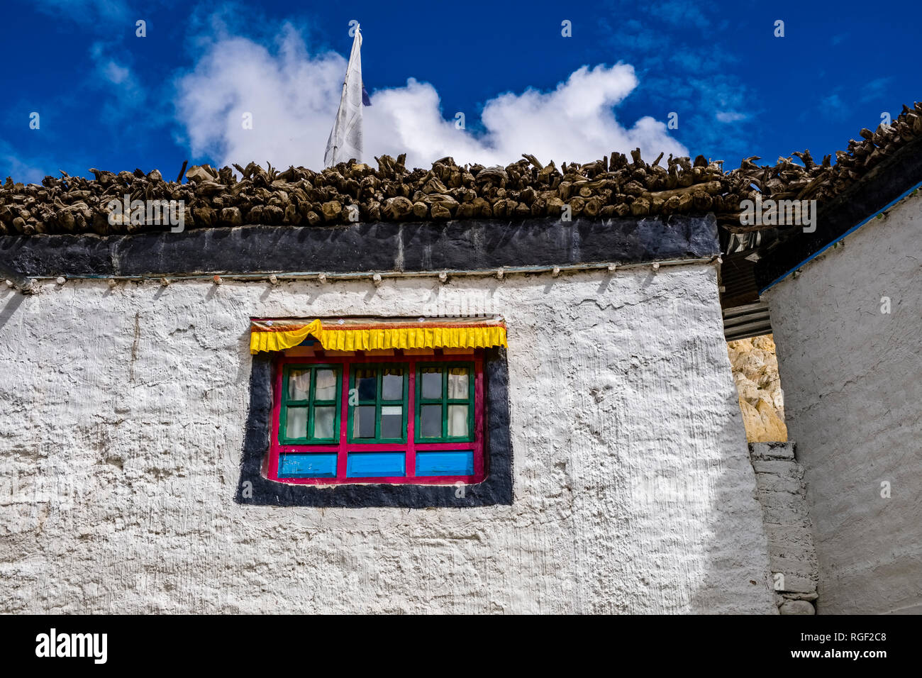 Mustang outside hi-res stock photography and images - Alamy