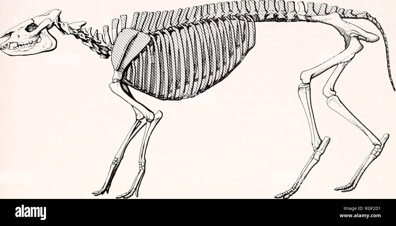 . Bulletin of the Museum of Comparative Zoology at Harvard College ...
