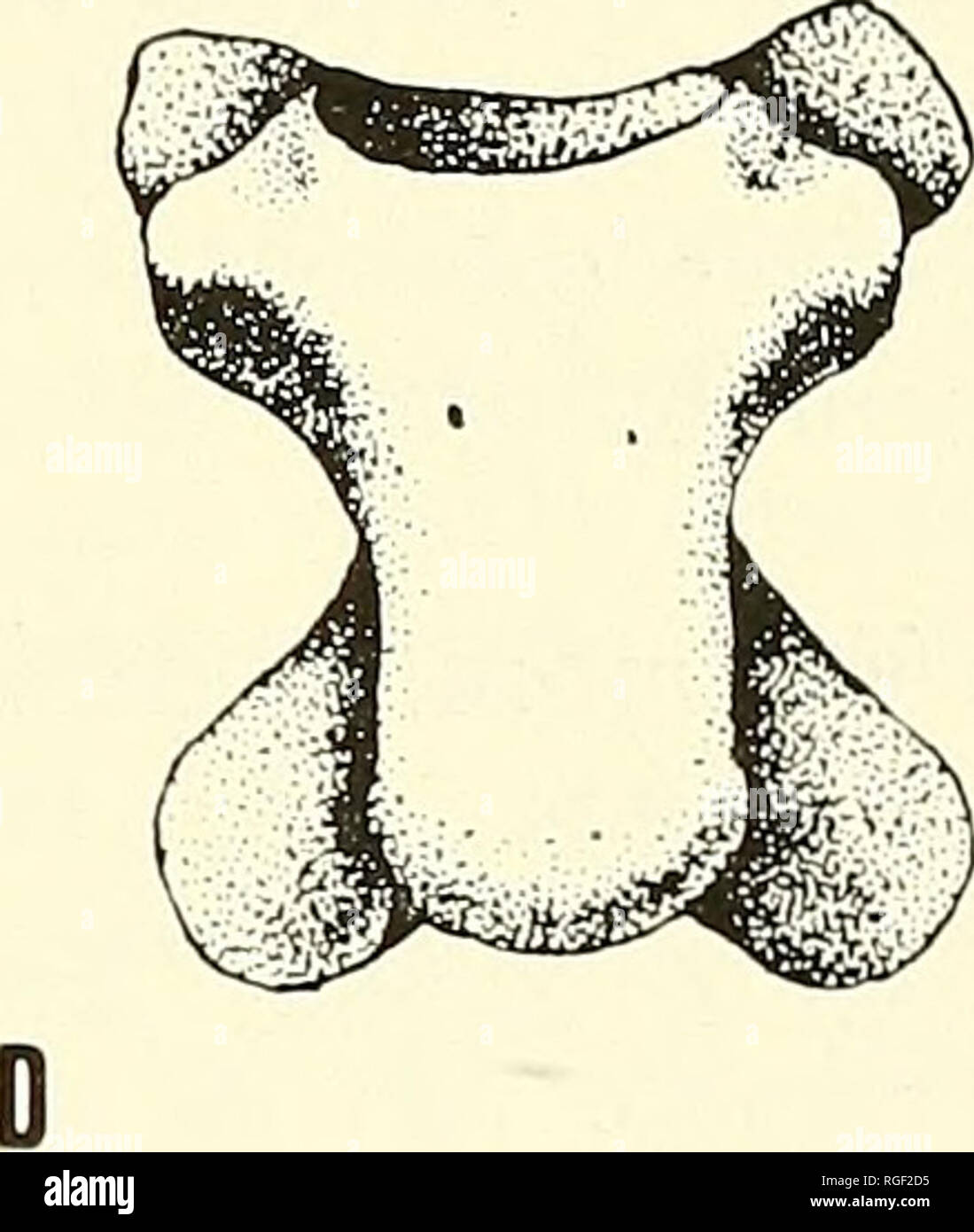 . Bulletin of the Museum of Comparative Zoology at Harvard College ...