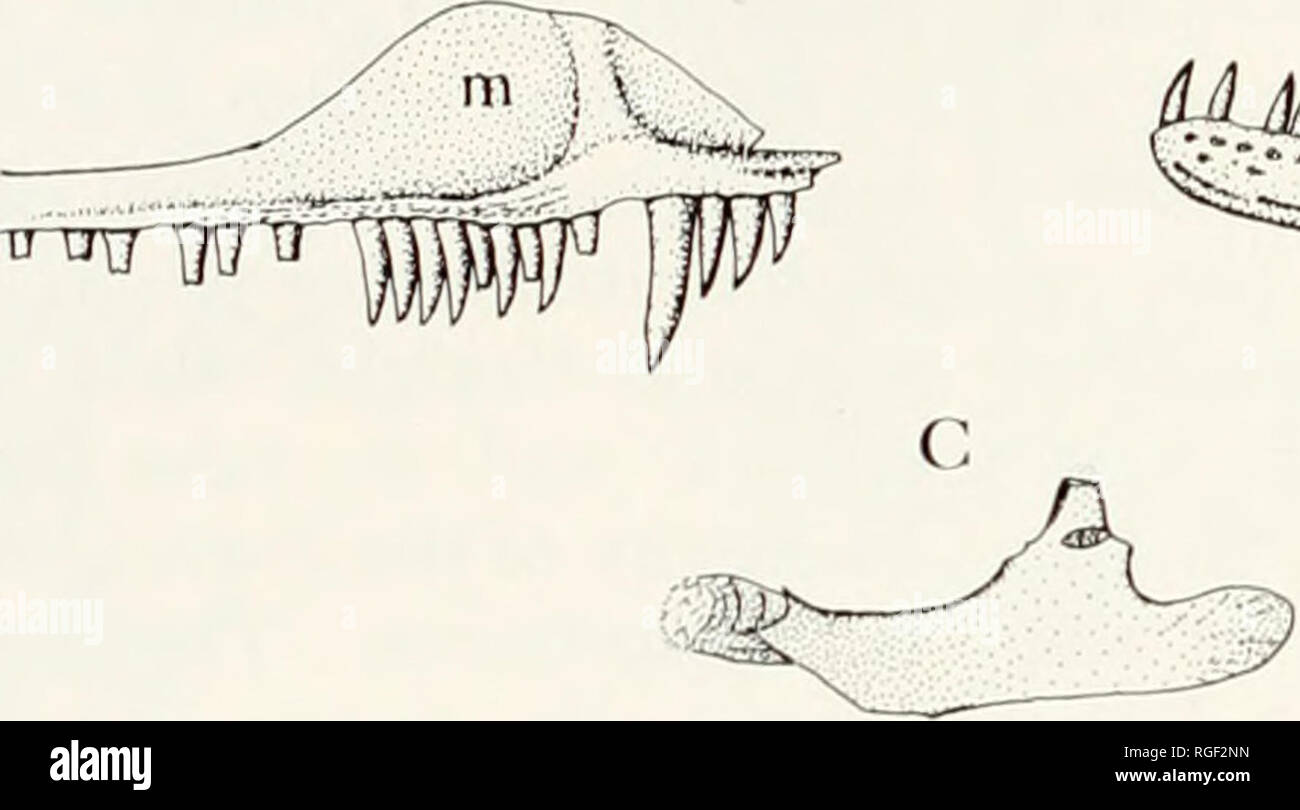 . Bulletin of the Museum of Comparative Zoology at Harvard College ...