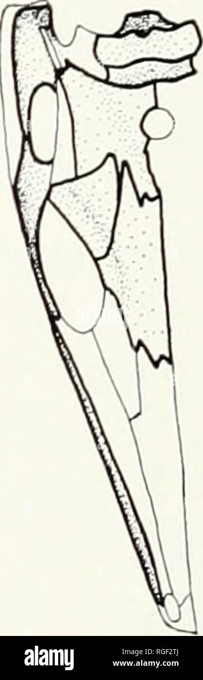 . Bulletin of the Museum of Comparative Zoology at Harvard College ...