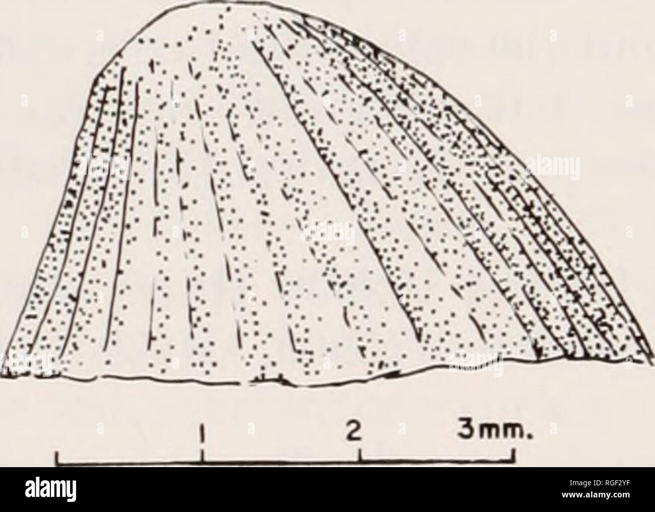 . Bulletin of the Museum of Comparative Zoology at Harvard College ...