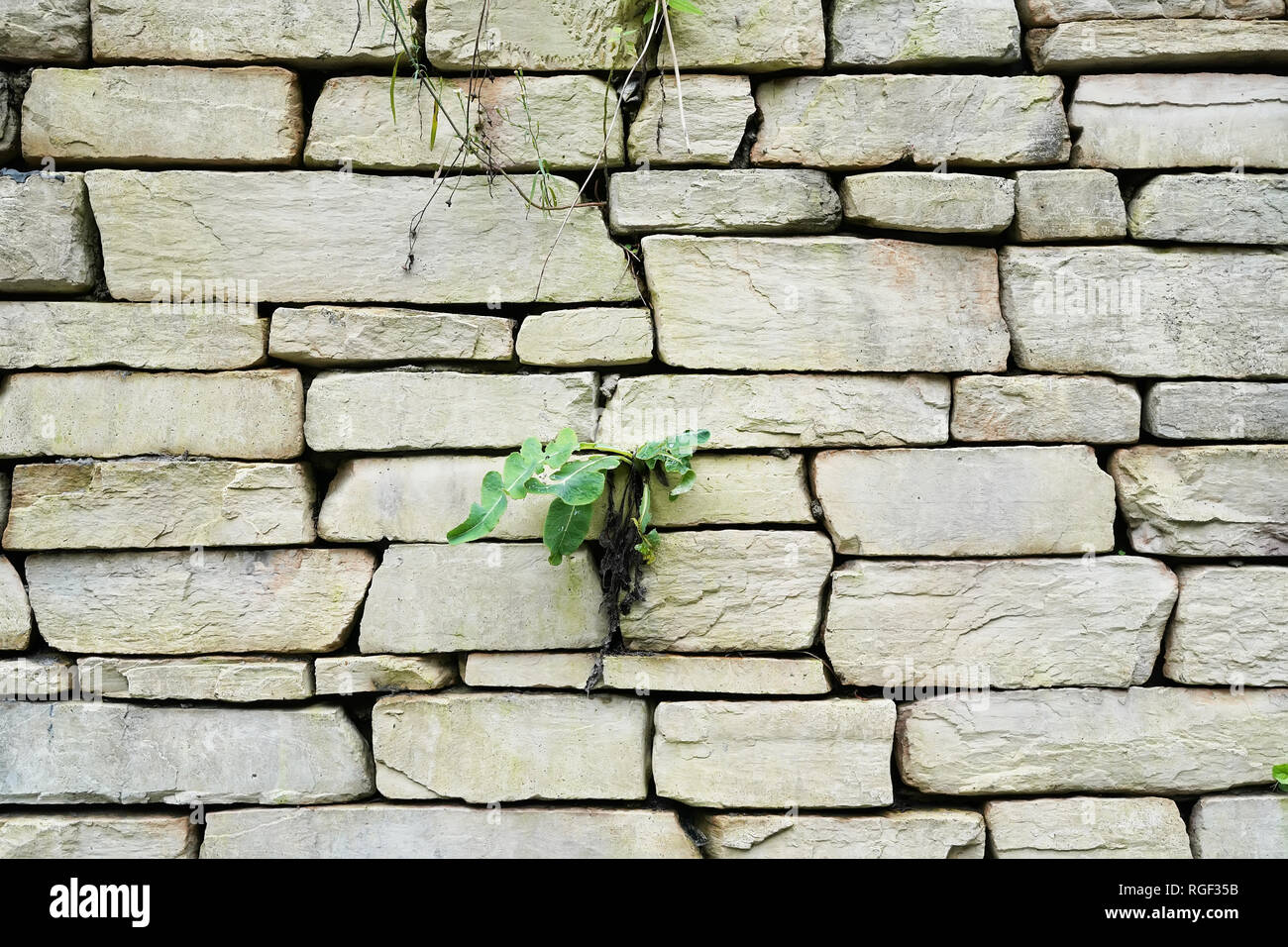 rustic rock wall texture Stock Photo - Alamy