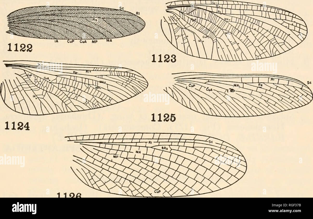 . Bulletin of the Museum of Comparative Zoology at Harvard College ...