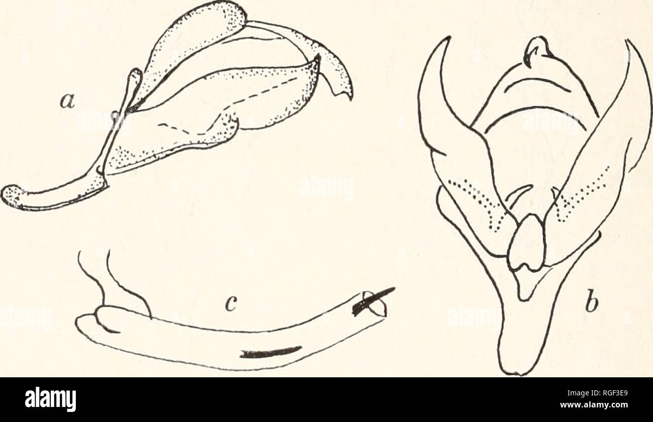 . Bulletin of the Museum of Comparative Zoology at Harvard College ...