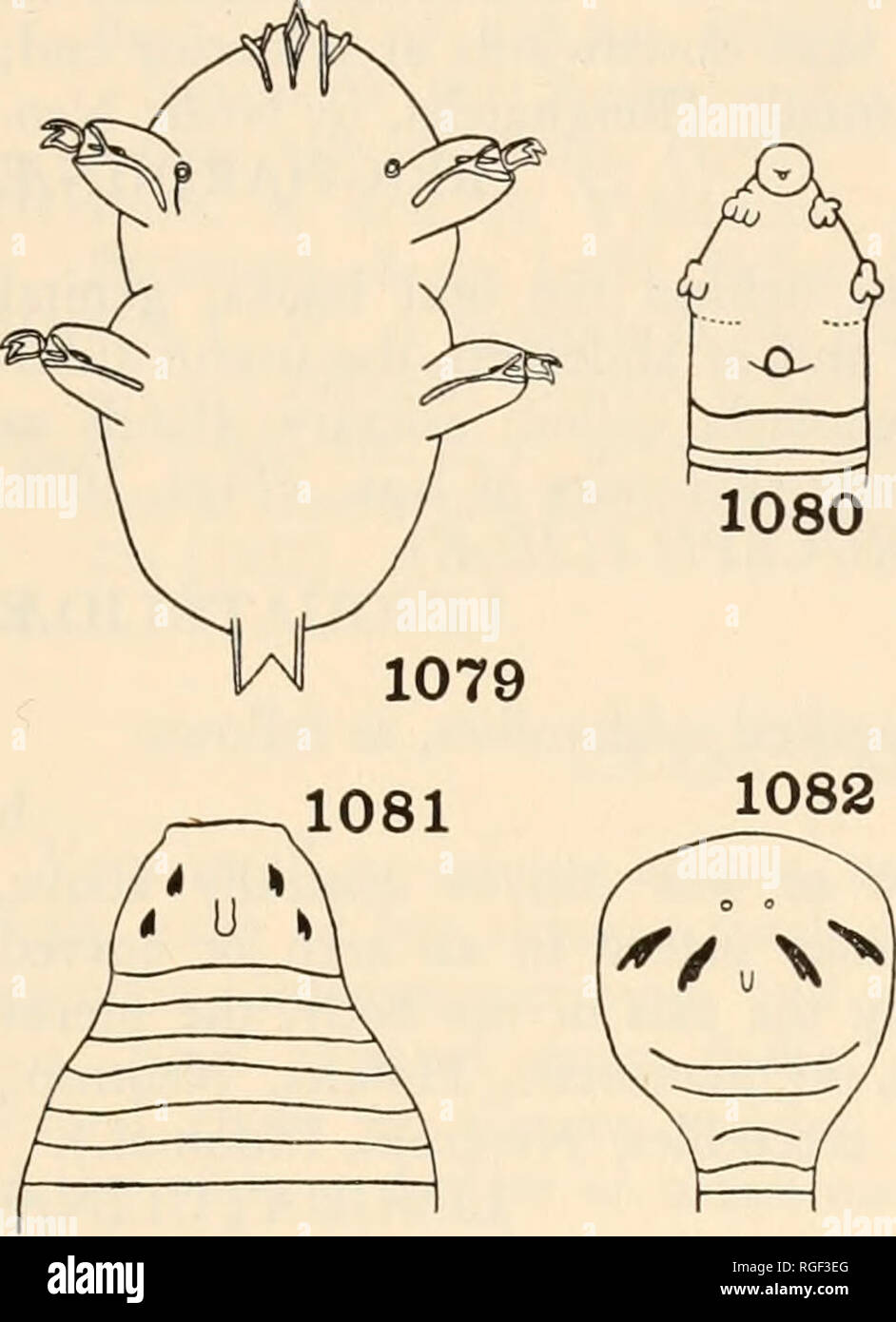 . Bulletin of the Museum of Comparative Zoology at Harvard College ...