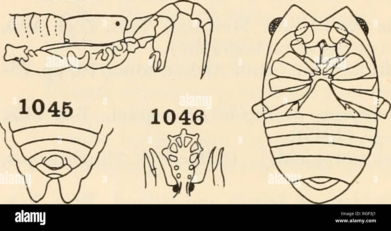 Indomal hi-res stock photography and images - Alamy