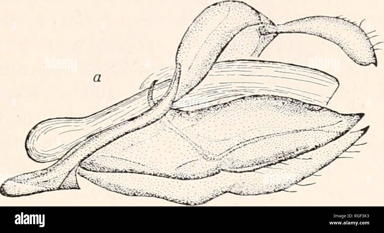 . Bulletin of the Museum of Comparative Zoology at Harvard College ...