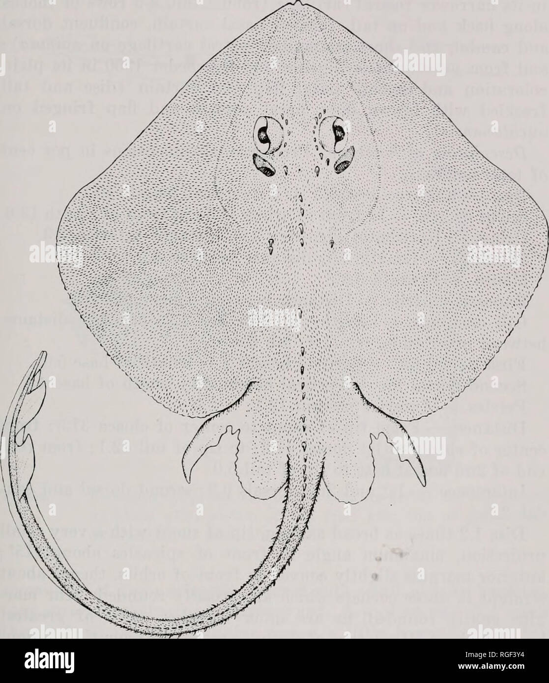 . Bulletin of the Museum of Comparative Zoology at Harvard College ...