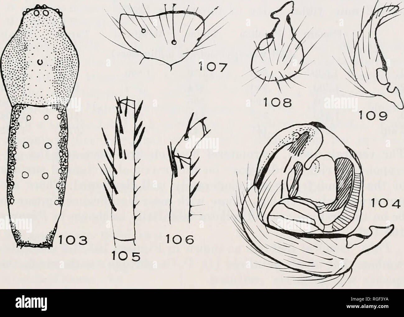 Ple in row hi-res stock photography and images - Alamy