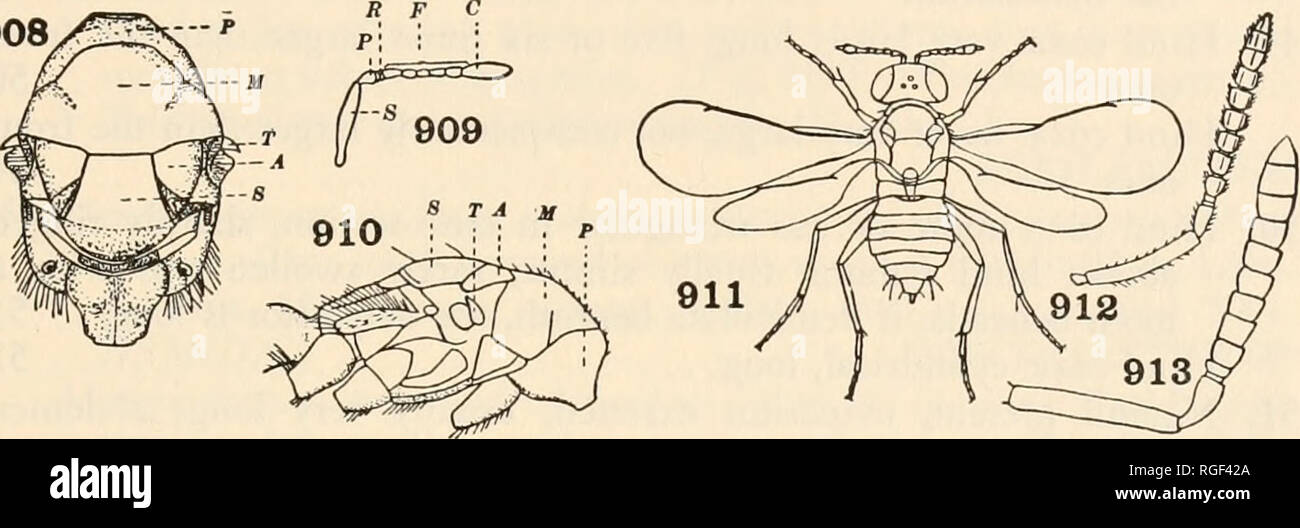 . Bulletin of the Museum of Comparative Zoology at Harvard College ...