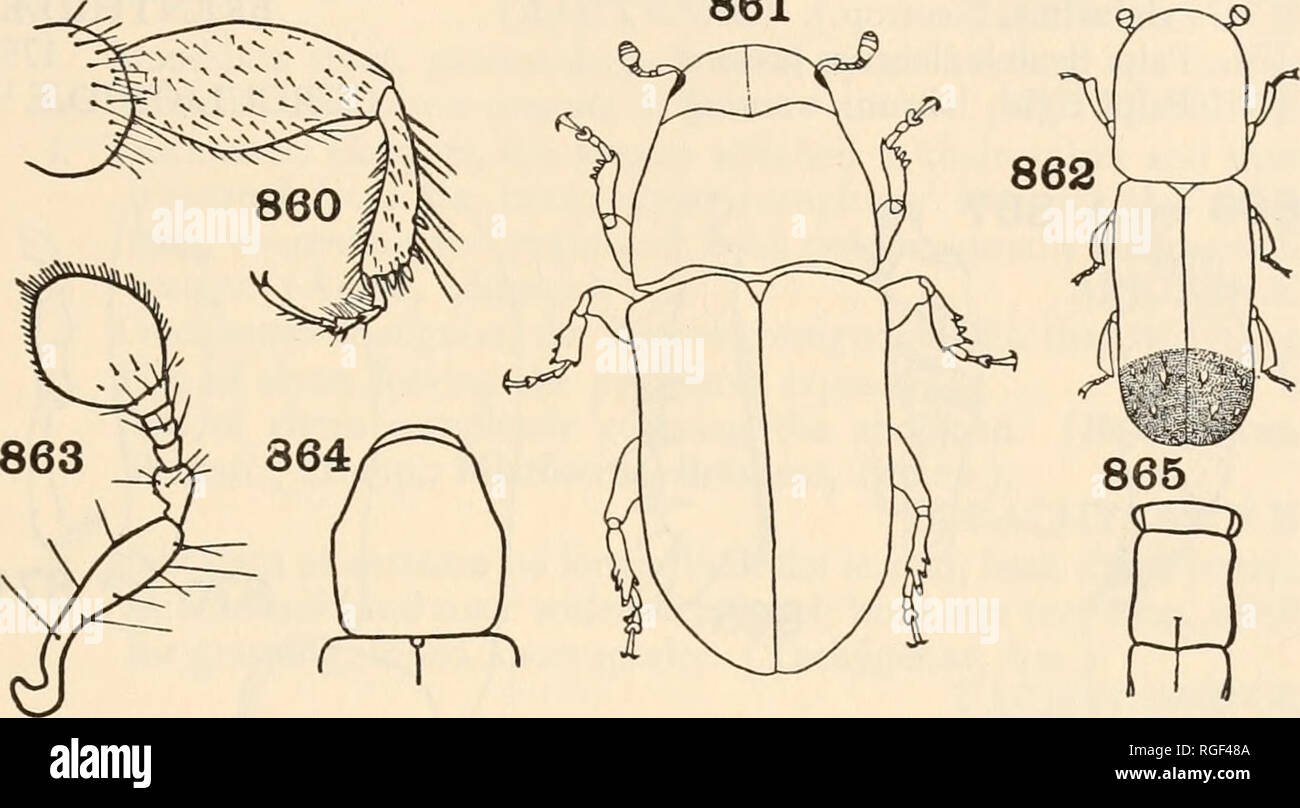 . Bulletin of the Museum of Comparative Zoology at Harvard College ...