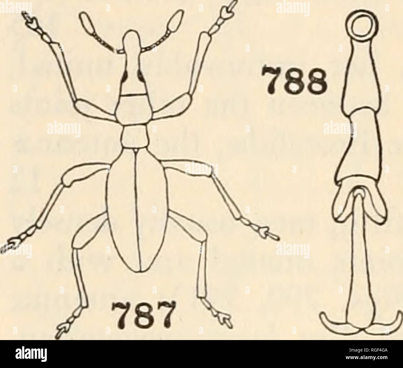 Cav triangular hi-res stock photography and images - Alamy