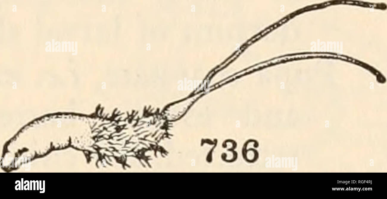 . Bulletin of the Museum of Comparative Zoology at Harvard College ...