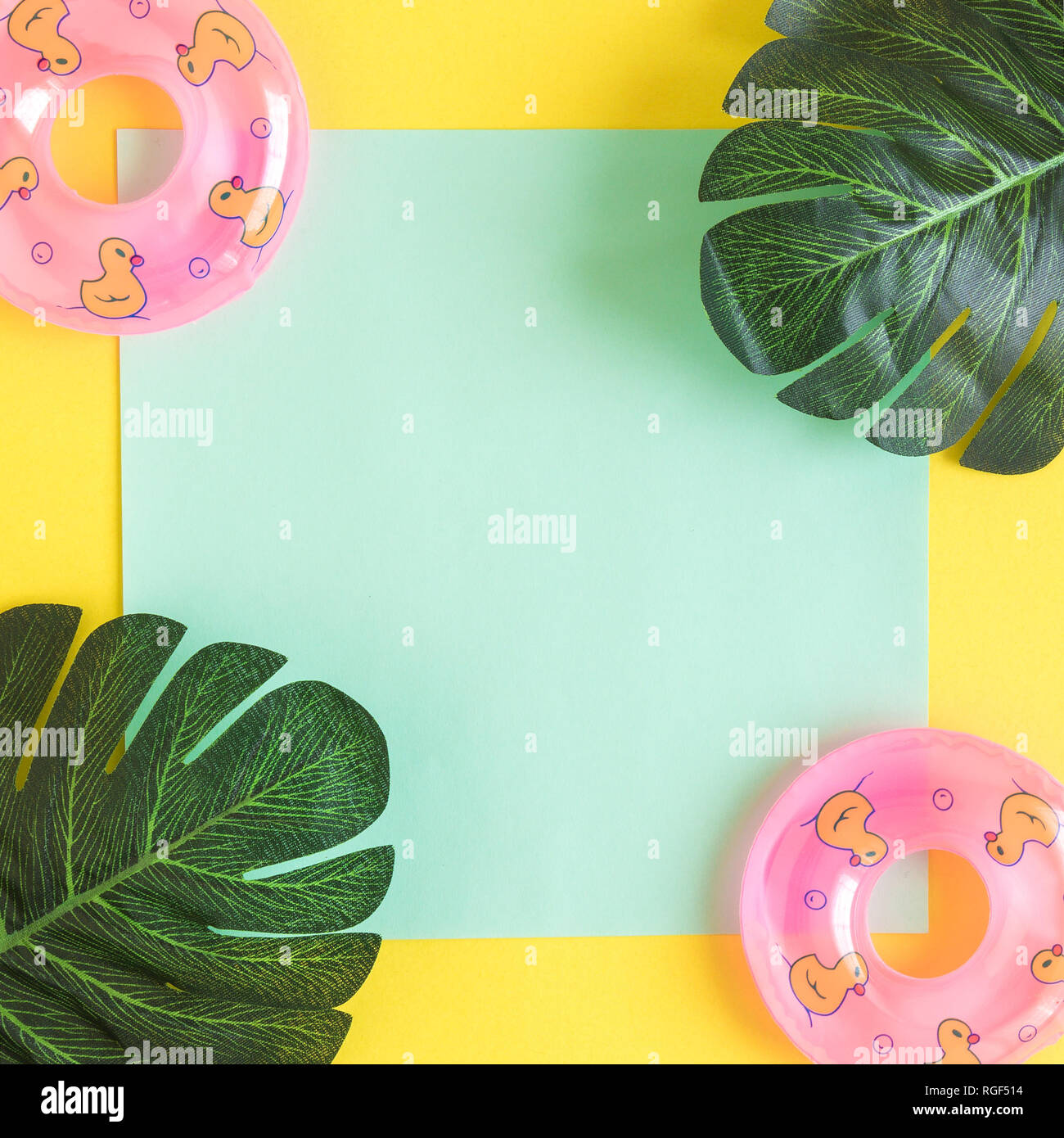 Tropical background made of monstera leaves, inflatable pool floats and ...