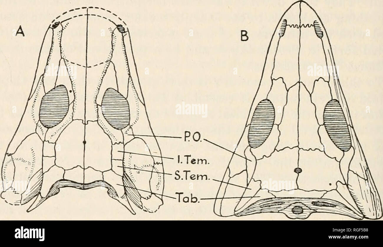 . Bulletin of the Museum of Comparative Zoology at Harvard College ...