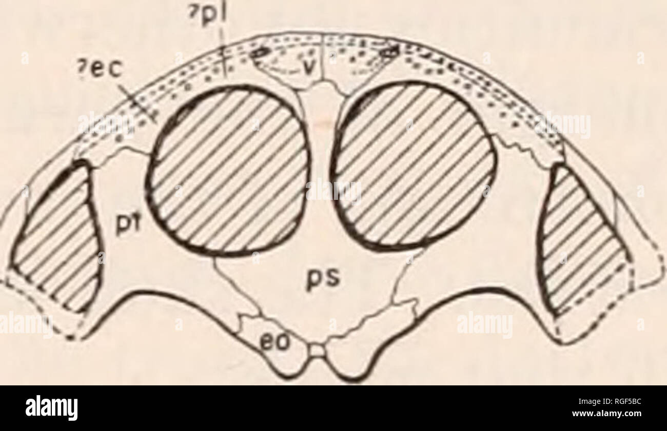. Bulletin of the Museum of Comparative Zoology at Harvard College ...
