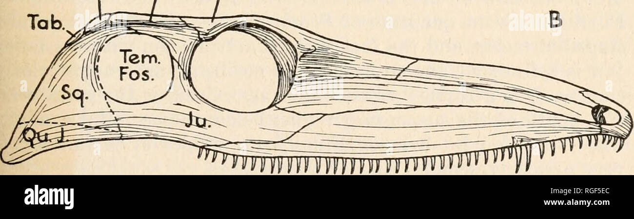 . Bulletin of the Museum of Comparative Zoology at Harvard College ...