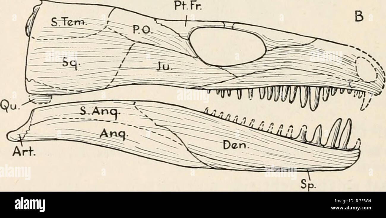 . Bulletin of the Museum of Comparative Zoology at Harvard College ...