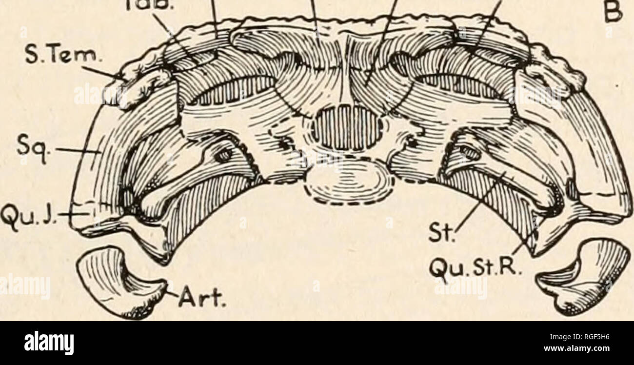 . Bulletin of the Museum of Comparative Zoology at Harvard College ...