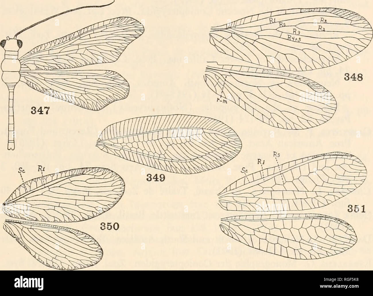 Trichoma hi-res stock photography and images - Alamy