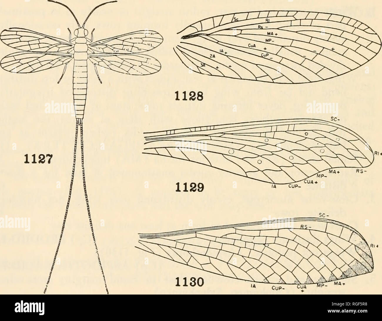 . Bulletin of the Museum of Comparative Zoology at Harvard College ...