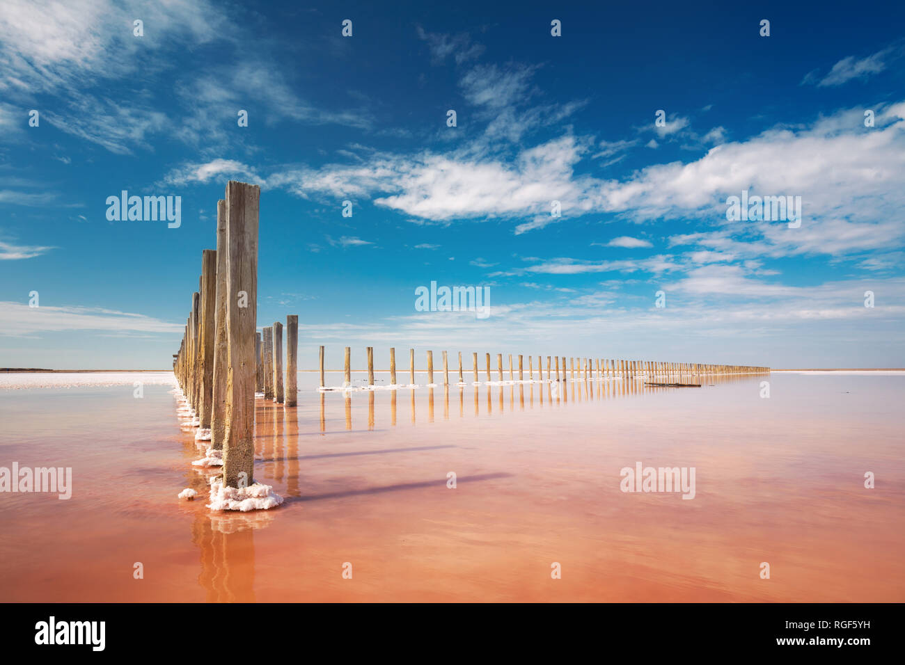 Amazing real pink color salt lake and deep blue sky. Ukraine, Europe ...